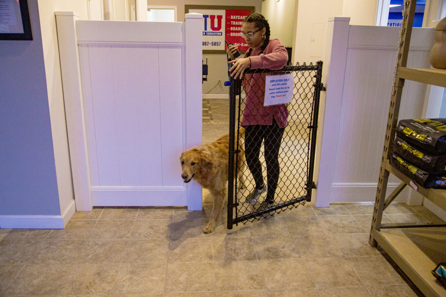 Fast & Effective Dog Training: Tips for Quick, Lasting Results